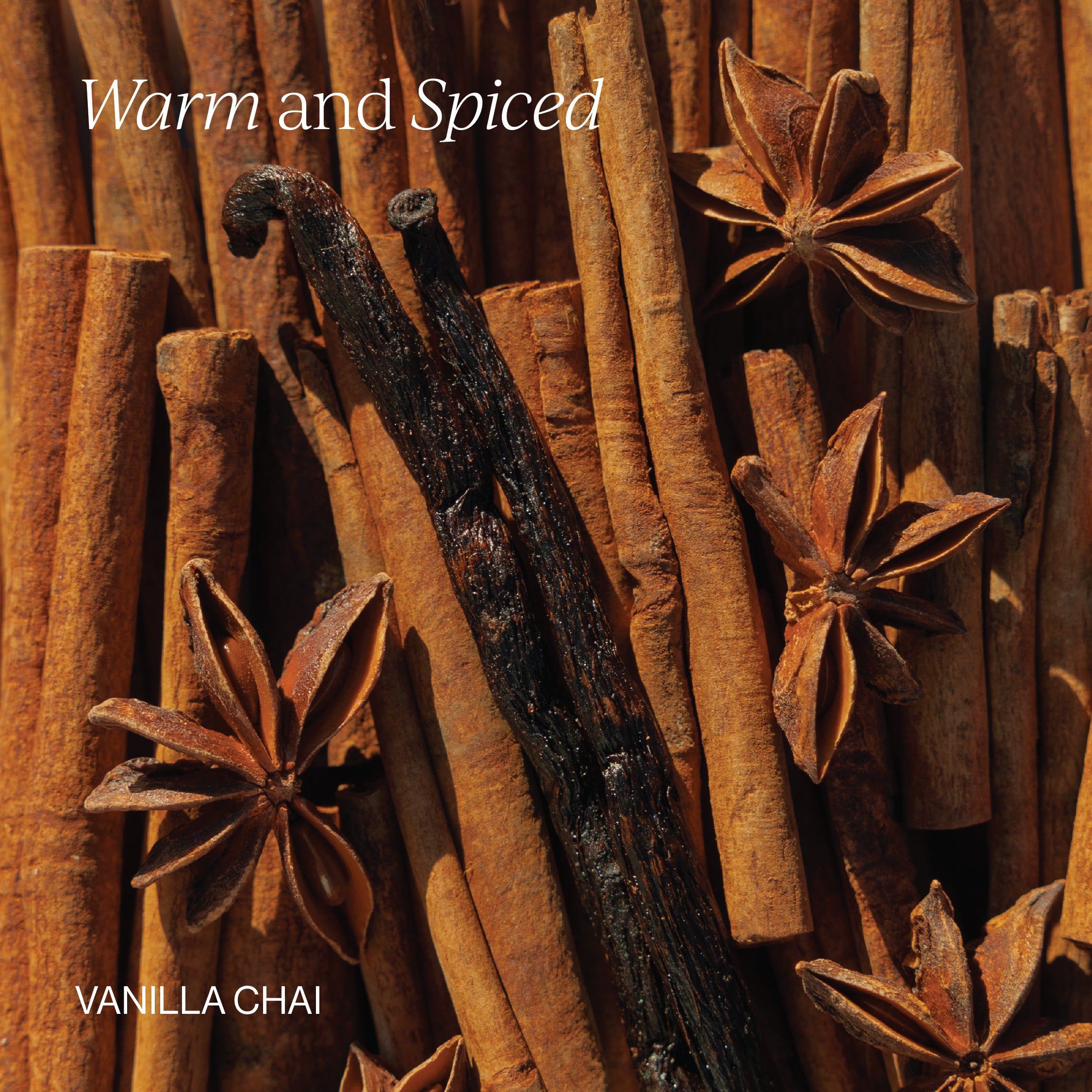 Golden Mind - Advanced Brain Power Nutrients | CYMBIOTIKA