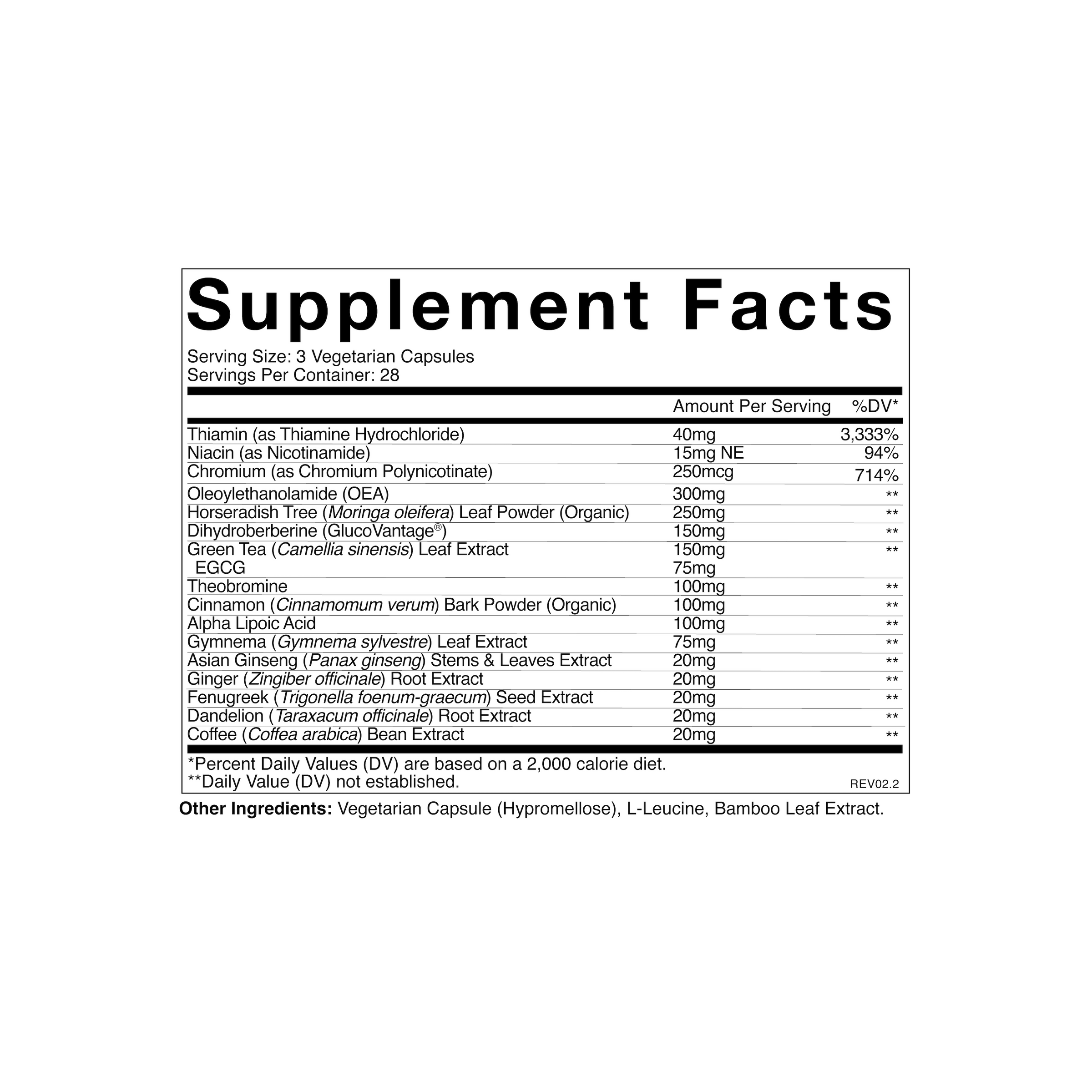 Metabolic Support Capsule Pills | CYMBIOTIKA